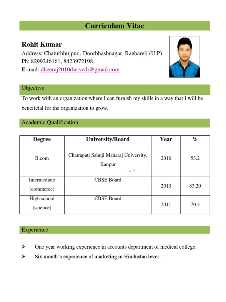 Curriculum Vitae: Rohit Kumar | PDF