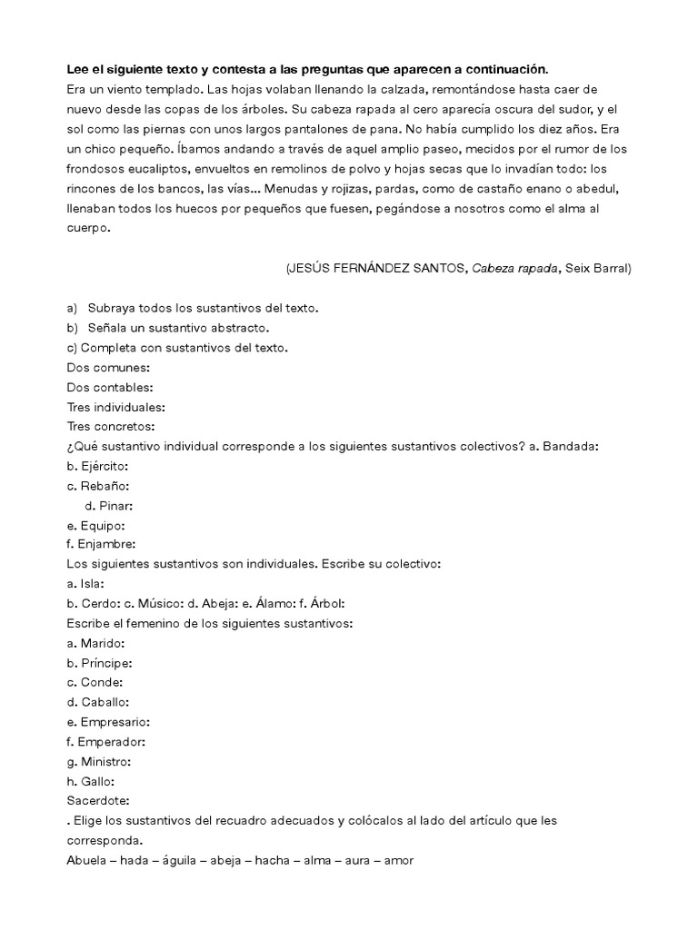 Ejercicios Repaso Sustantivos | PDF