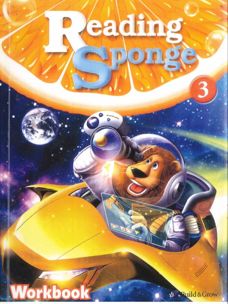 Reading Sponge 3 Workbook | PDF