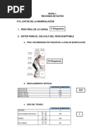 Formato NIOSH | PDF
