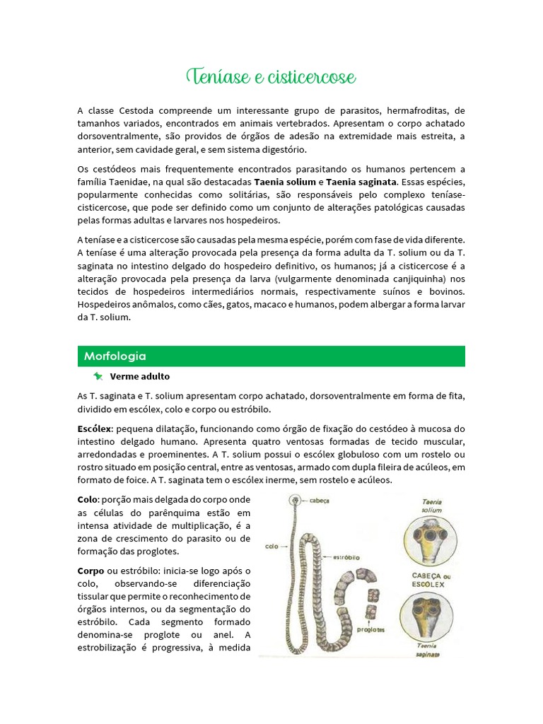 O complexo teníase-cisticercose causado pelas espécies Taenia solium e ...