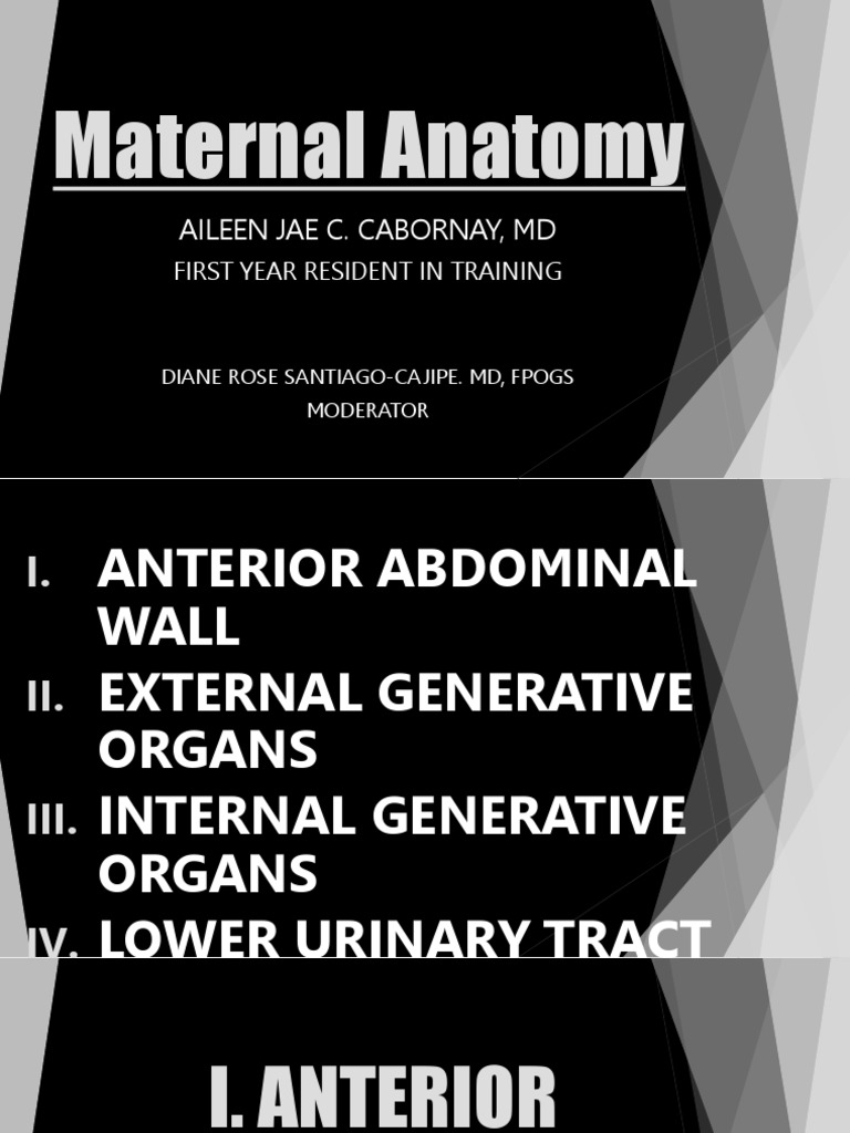 Maternal Anatomy Overview | PDF | Uterus | Vagina