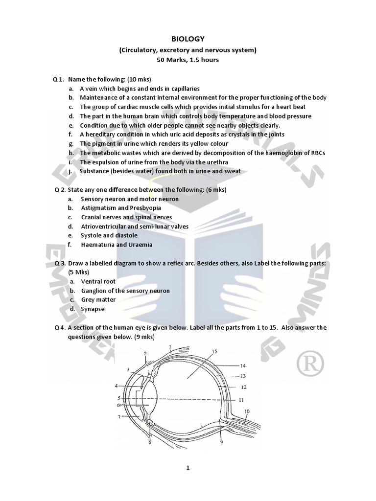 Biology: (Circulatory, Excretory and Nervous System) 50 Marks, 1.5 ...