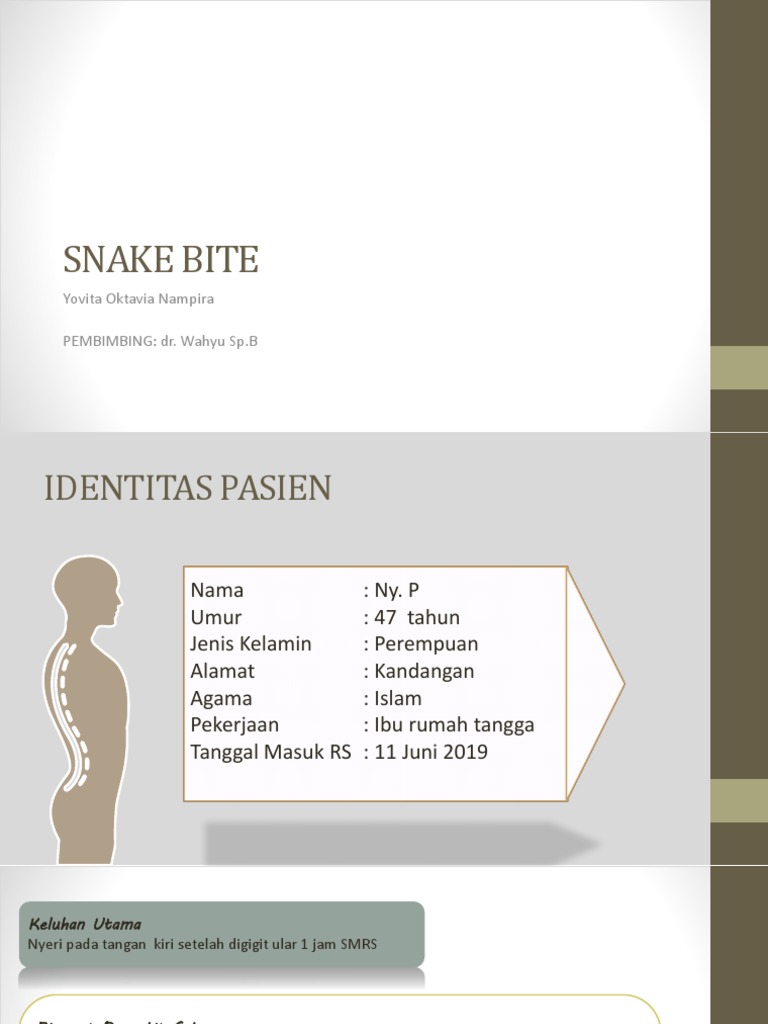 Snake Bite | PDF