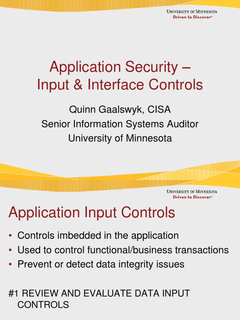 Application Security - Input & Interface Controls | PDF | Password | Audit