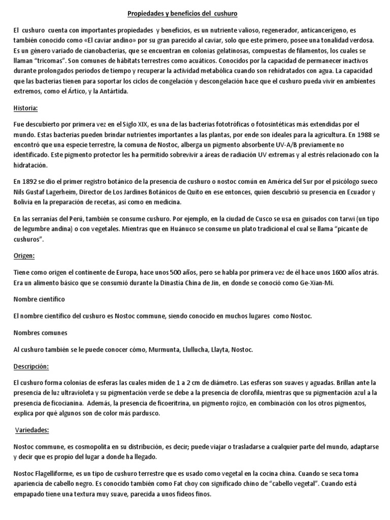 Propiedades y Beneficios Del Cushuro | PDF | Comida y bebida | Naturaleza