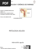 GPC Faringoamigdalitis Aguda IMSS-73-08 | PDF | Medicina | Enfermedades ...