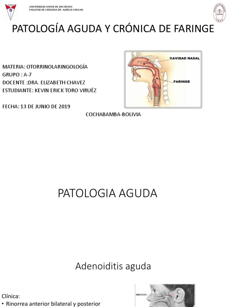 Presentacion anatomica de faringe | Microbiología | Enfermedades y ...