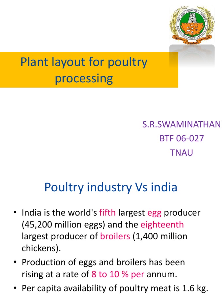 Poultry Plant Layout Swami | PDF | Poultry | Poultry Farming
