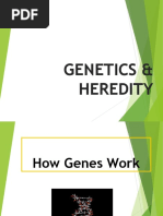 8th Grade Science-Genetics and Heredity | PDF | Rna | Gene