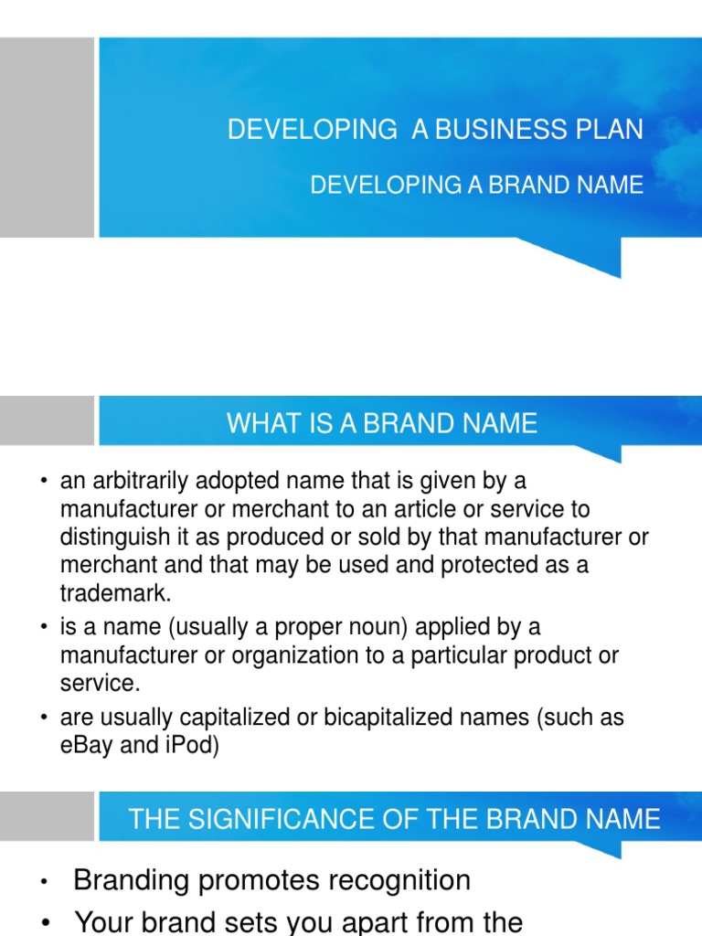 Developing a Brand Name Guide | PDF