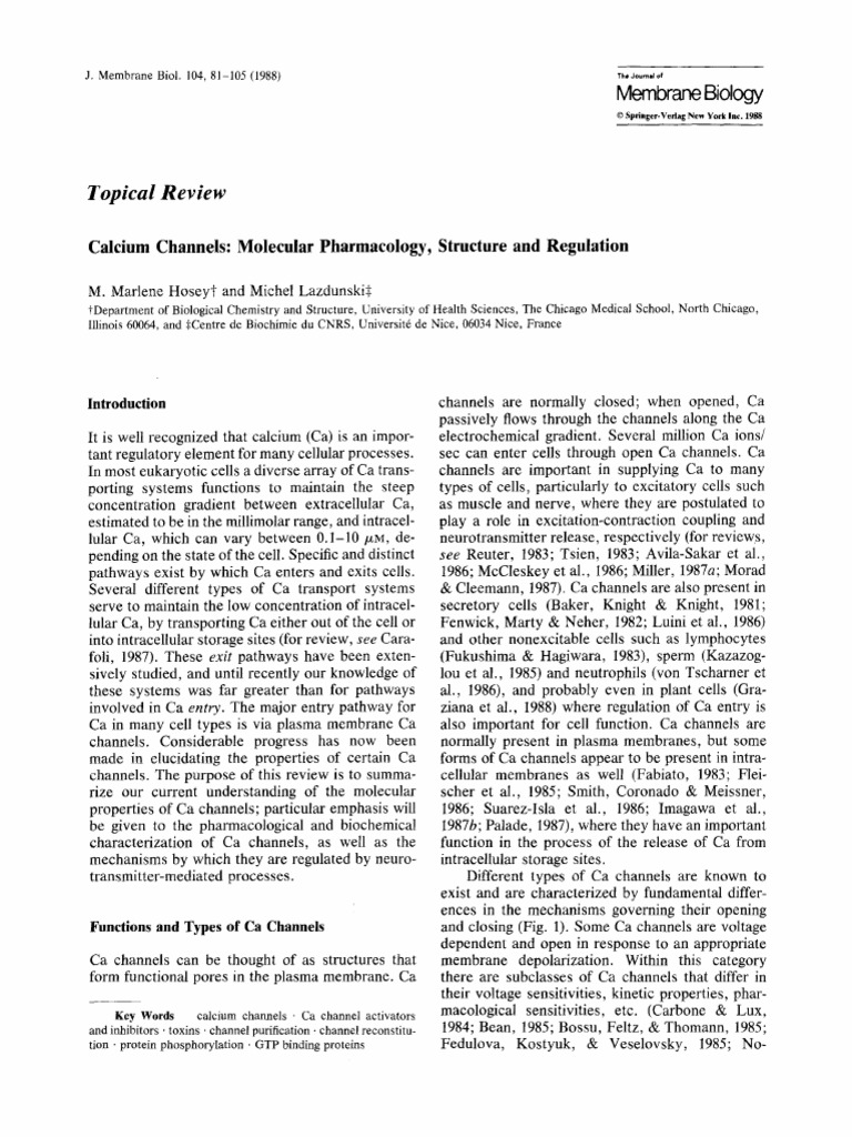 Molecular Pharmacology, Structure, and Regulation of Calcium Channels ...