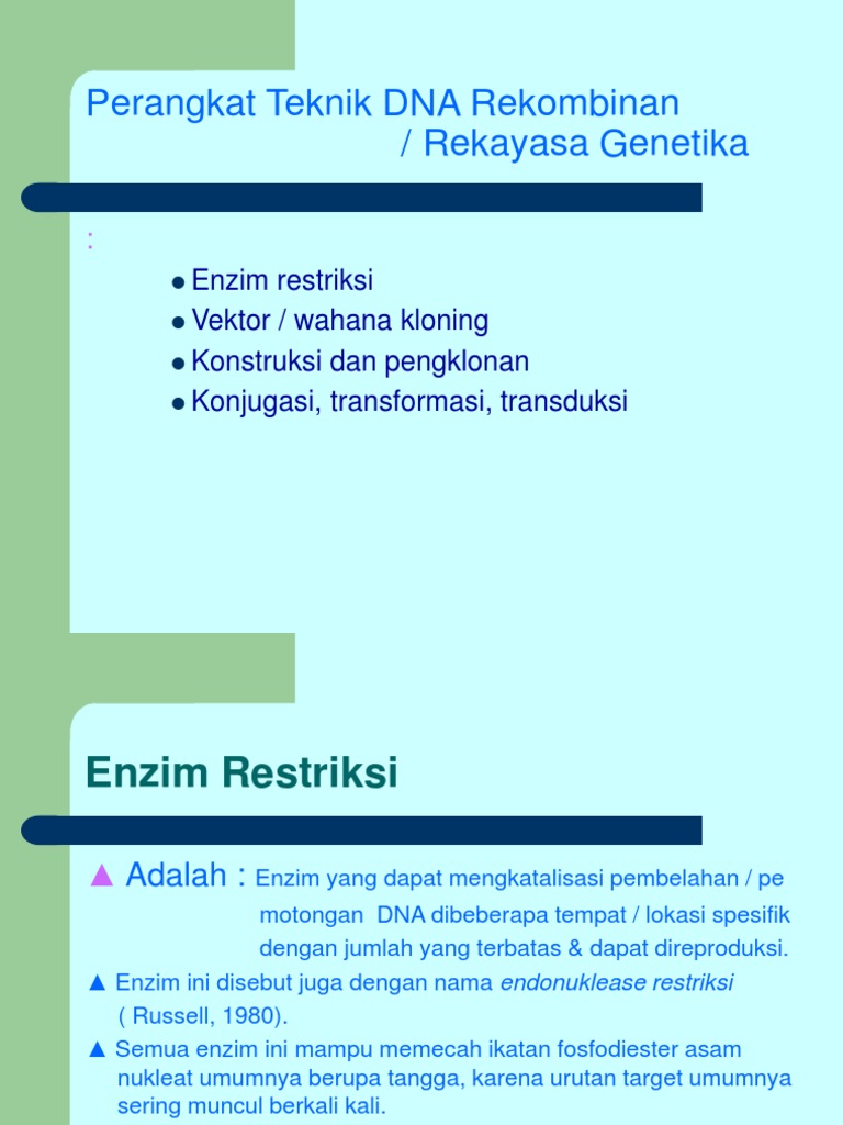 Enzim Restriksi | PDF
