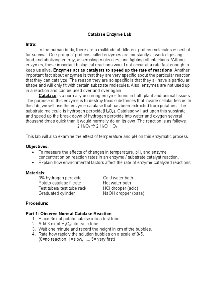 Catalase Enzyme Lab | PDF | Catalase | Substrate (Chemistry)
