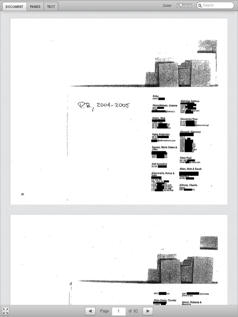 Jeffrey Epstein's Little Black Book | PDF