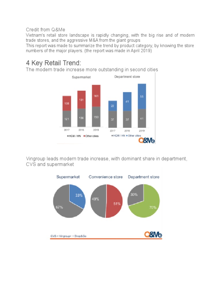 Vietnam's Retail Store Report | PDF