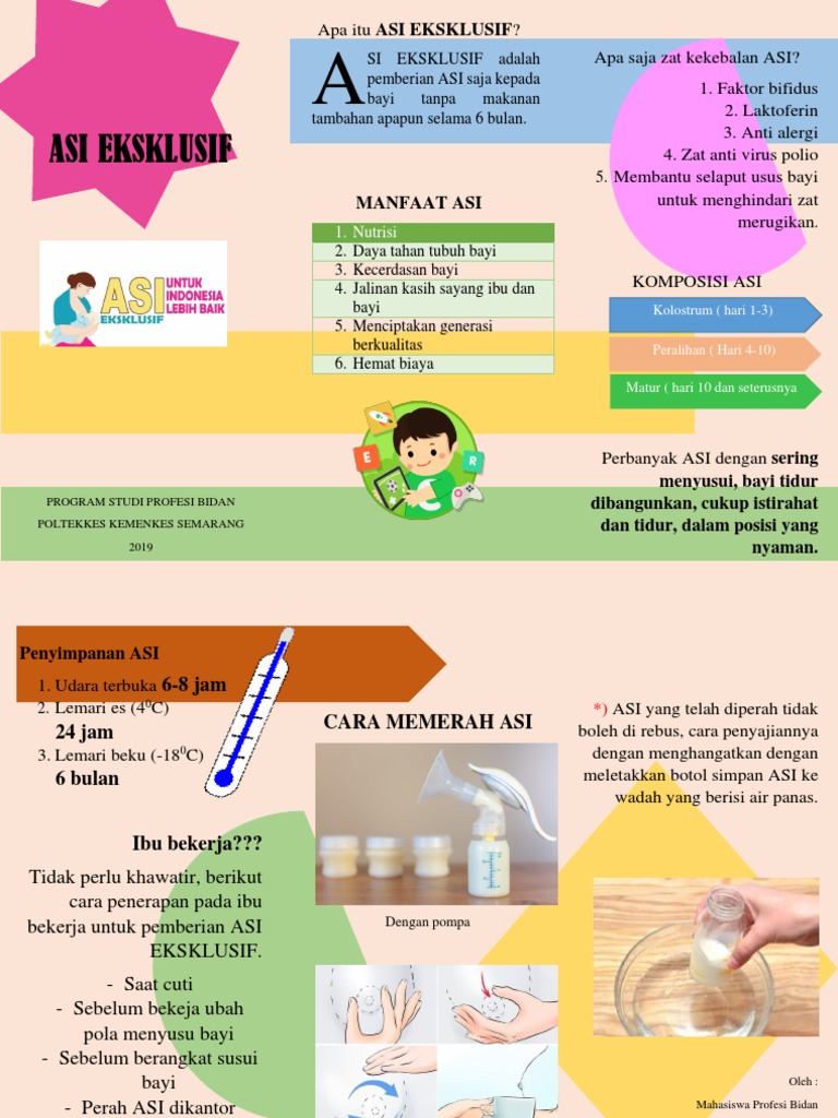 Leaflet Asi Eksklusif | PDF
