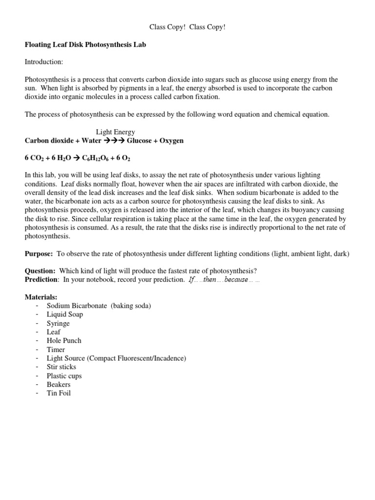 Floating Leaf Disk Photosynthesis Lab | PDF | Photosynthesis | Carbon ...