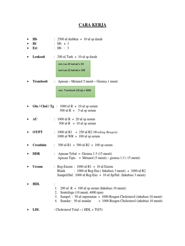 Cara Kerja Pmr. Lab | PDF
