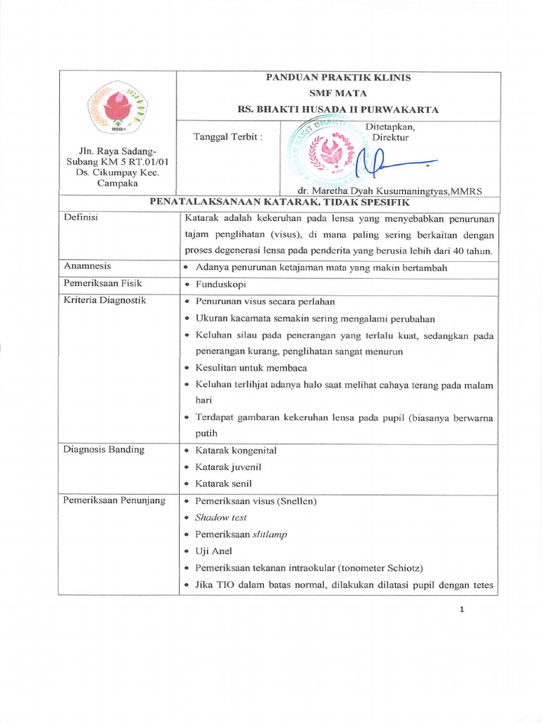 Panduan PPK Mata | PDF