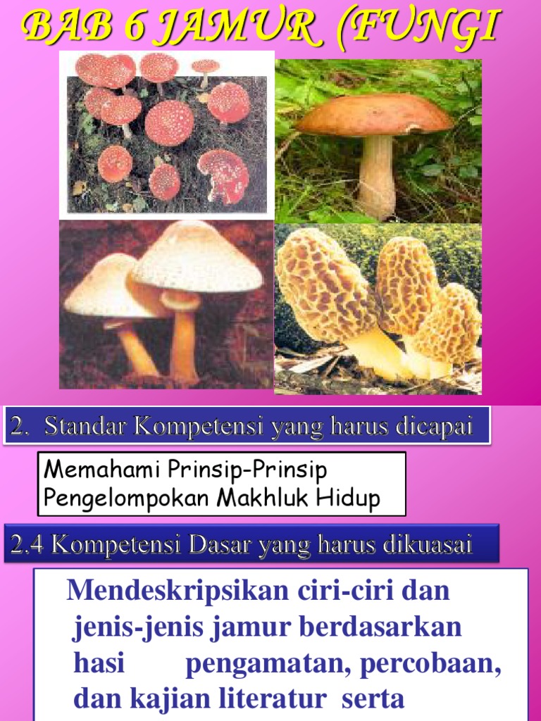 Bab 6 Jamur Pdf