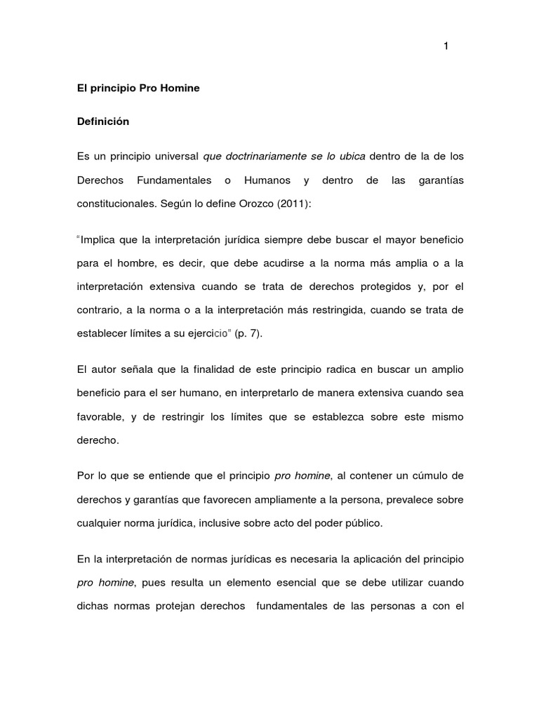 Principio Pro Homine | PDF | Derechos humanos | Constitución