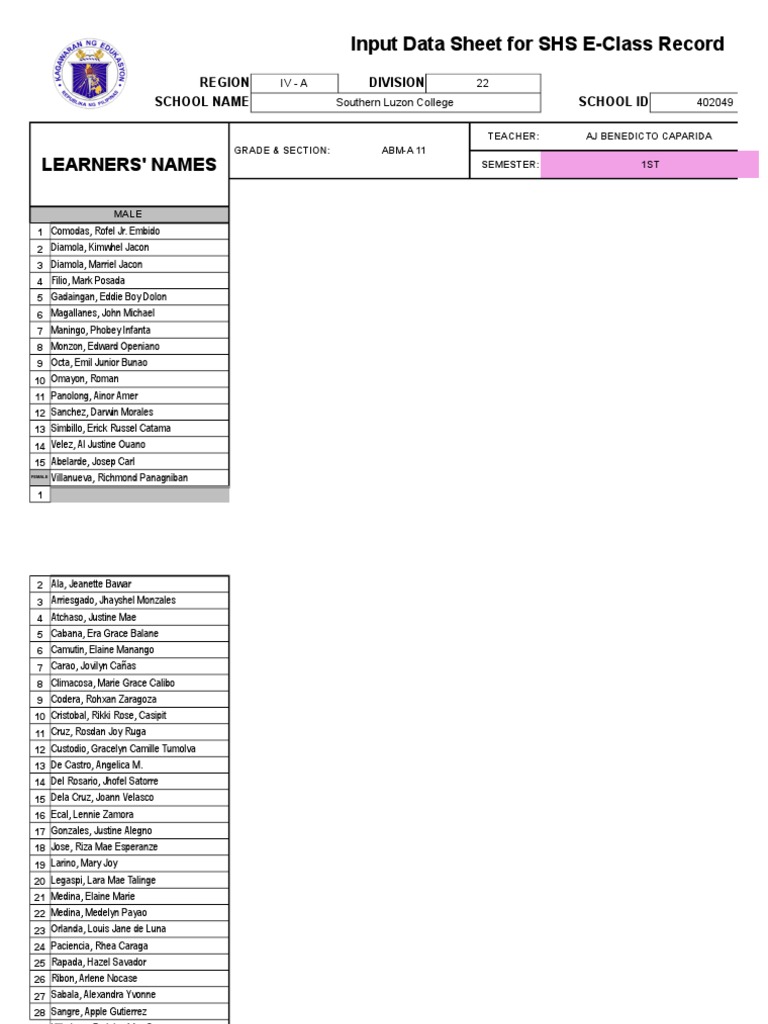 Input Data Sheet For SHS E-Class Record: Learners' Names | PDF