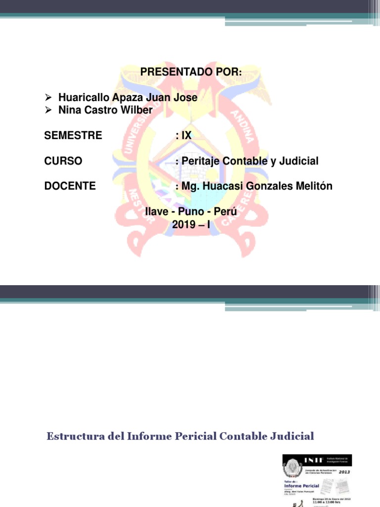 Estructura Del Informe Pericial Contable | PDF | Testigo experto | Ley ...