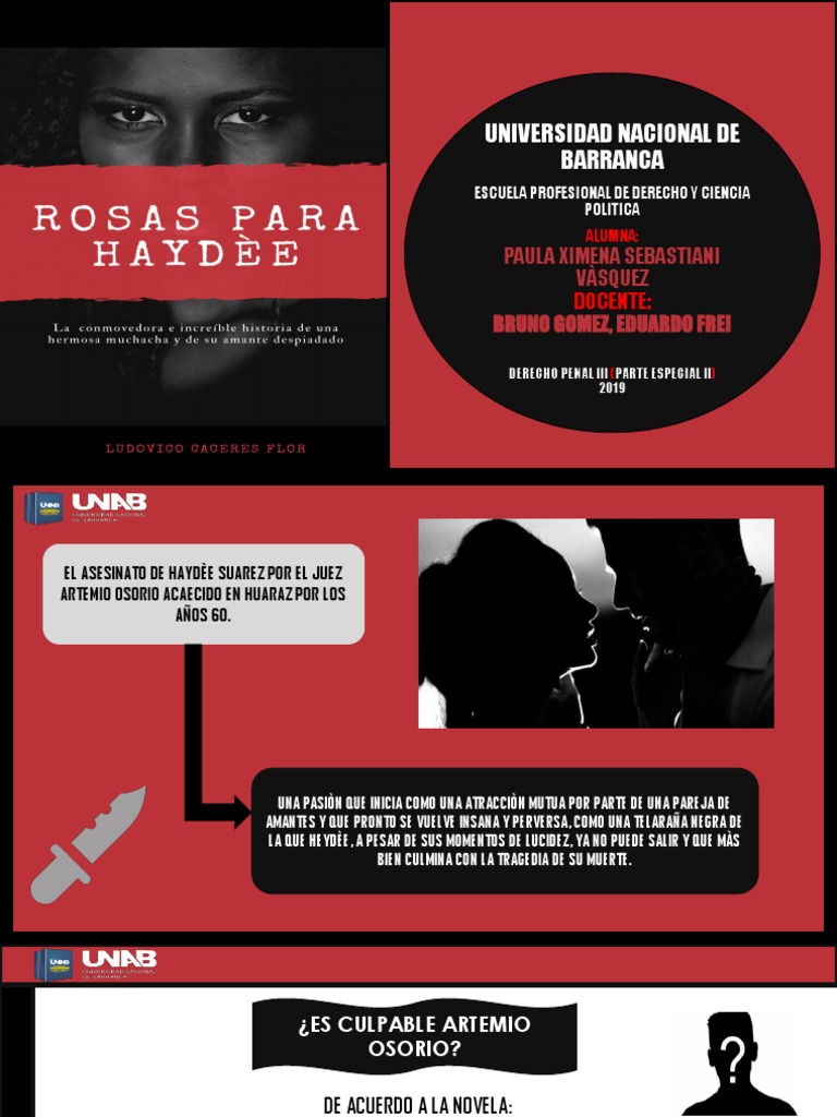 Diap Rosas Para Haydée X | PDF | Homicidio | Asesinato
