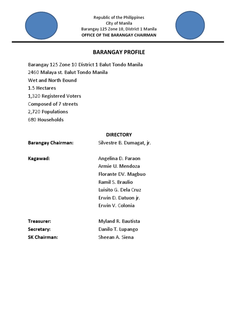 Barangay Profile | PDF