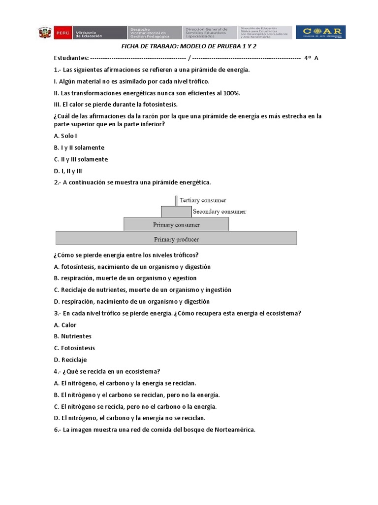 Ficha de Trabajo en Pares - Flujo de Energìa | PDF | Ecología | Organismos