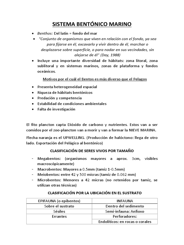 Sistema Bentonico Marino | PDF | Roca (geología) | Ciencias de la Tierra