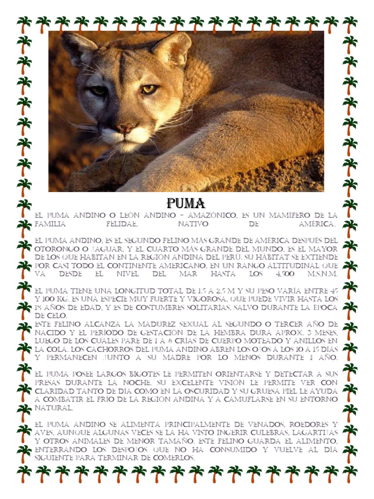 Puma | PDF | Puma | Mamíferos