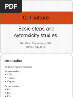 Cell Culture and Seeding Protocol Guide | PDF | Laboratory Techniques