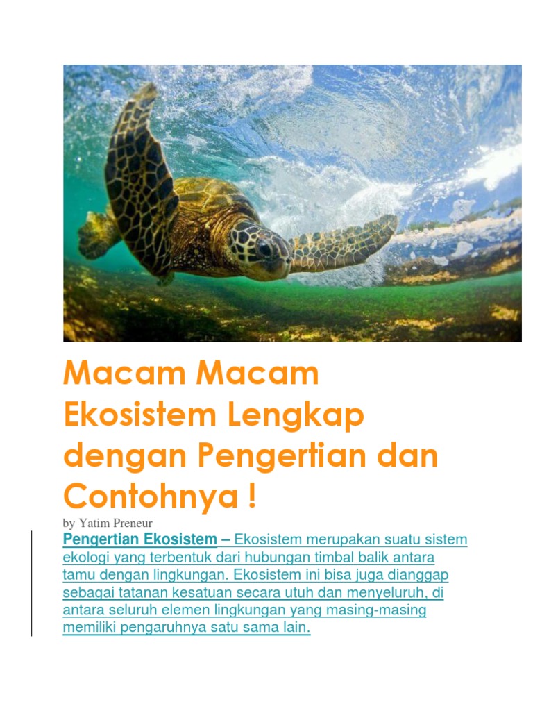 Macam Macam Ekosistem Lengkap Dengan Pengertian Dan Contohnya | PDF