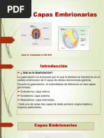 Capas Germinales | PDF | Embrión | Procesos biologicos
