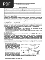 Sopa de Letras de Respiracion Celular - 1 PDF | PDF | Artes del ...
