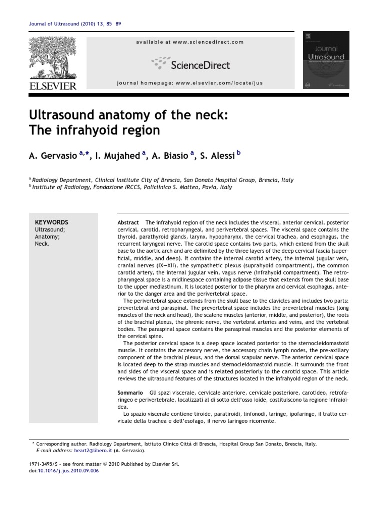 Ultrasound Anatomy of the Infrahyoid Neck | PDF | Common Carotid Artery ...