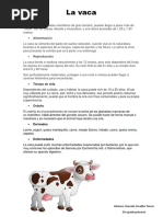 Ciclo de Vida de la Vaca para Niños | PDF | Vacas | Leche