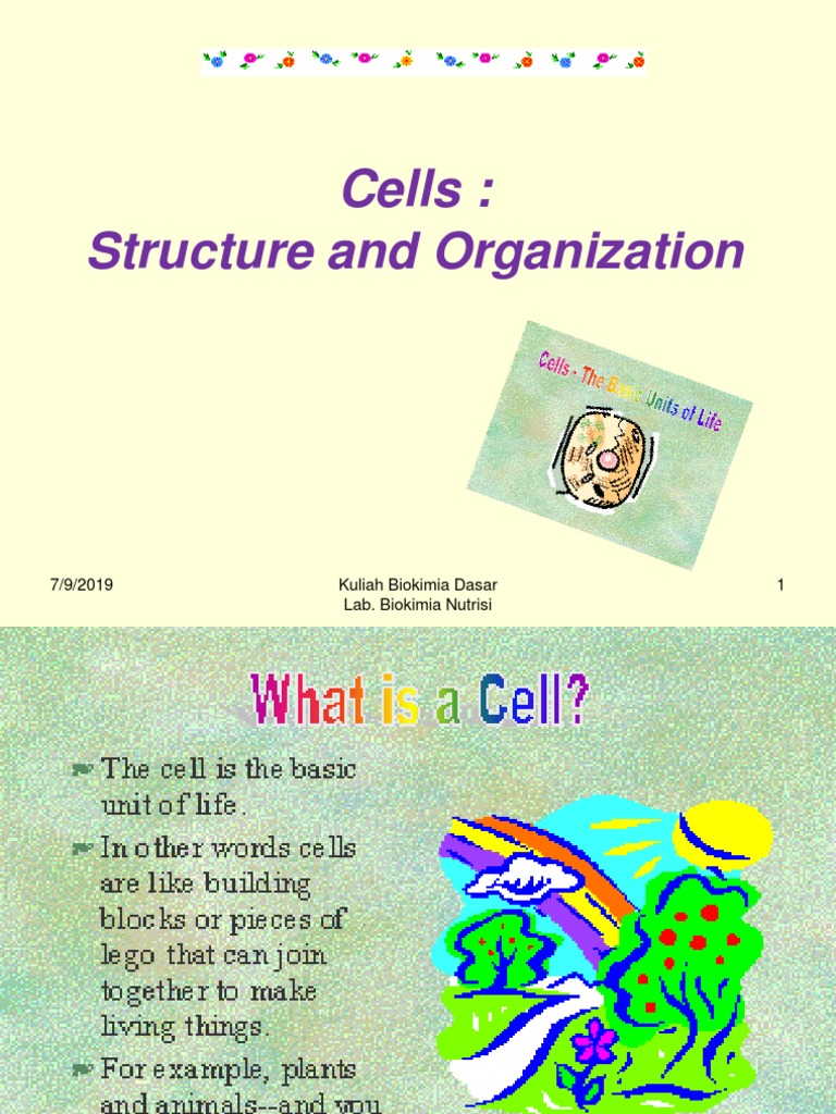 Cell Structure and Organization Overview | PDF | Endoplasmic Reticulum ...