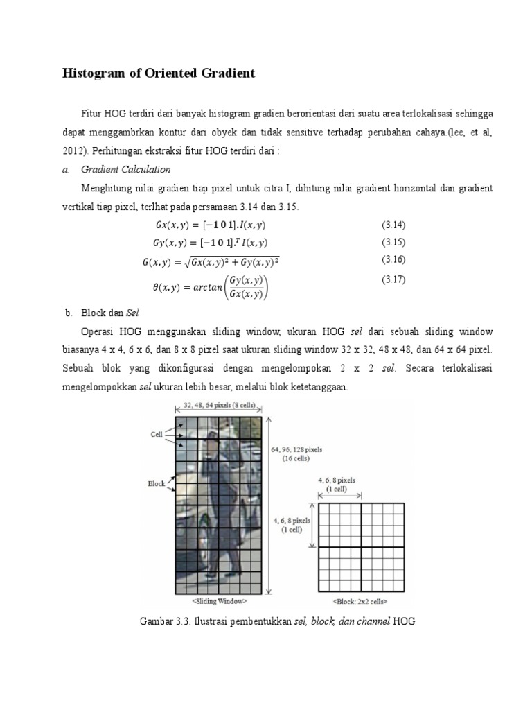 Histogram of Oriented Gradient | PDF