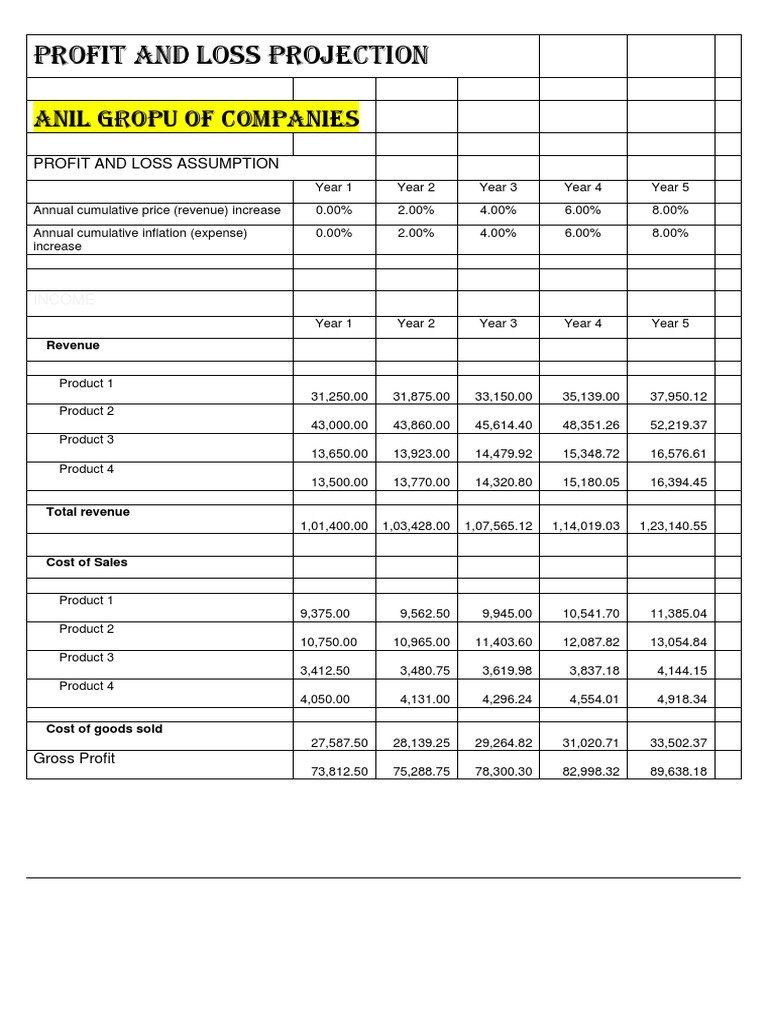Profit and Loss Projection