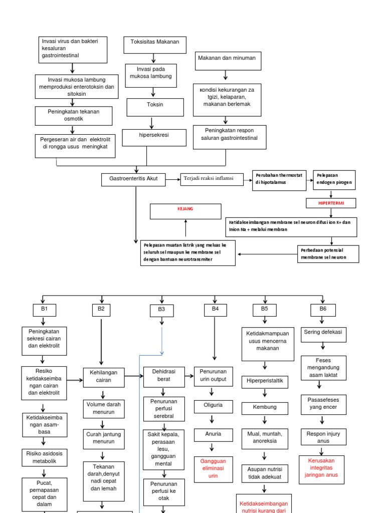 Gambaran Klinis dan Patofisiologi Gastroenteritis Akut | PDF