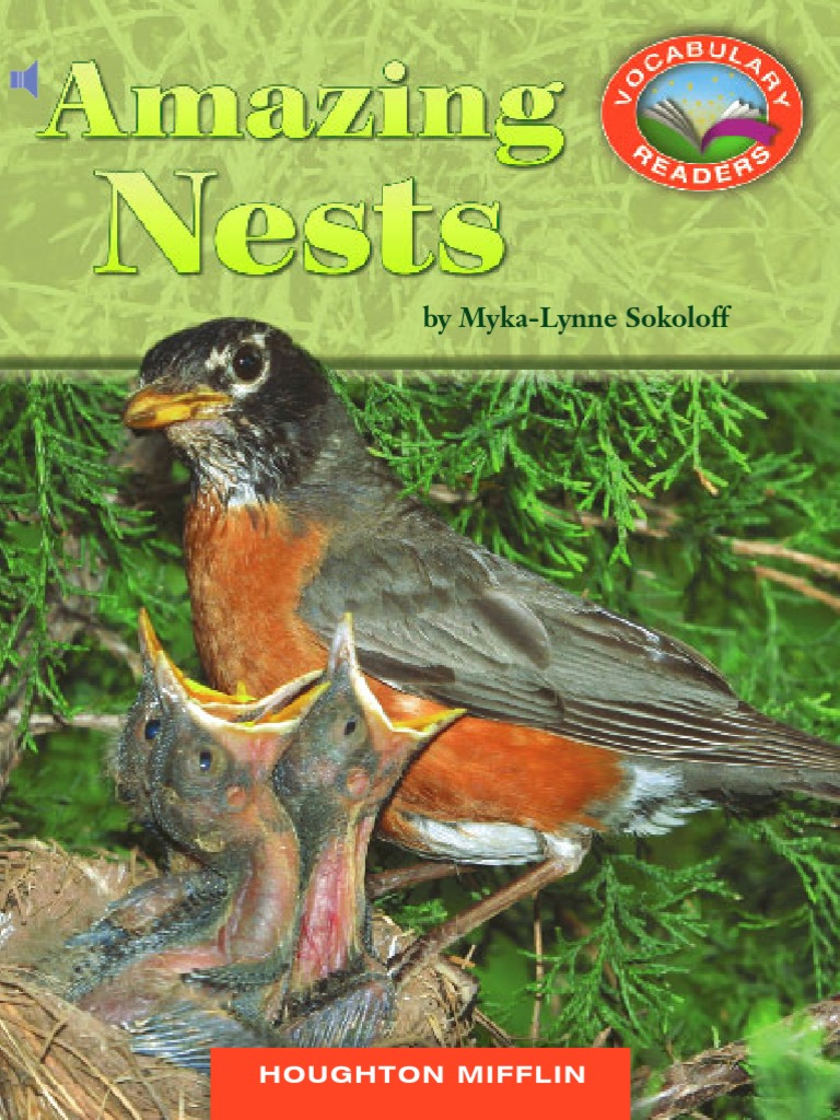 Amazing Nests PDF | PDF | Nest | Birds
