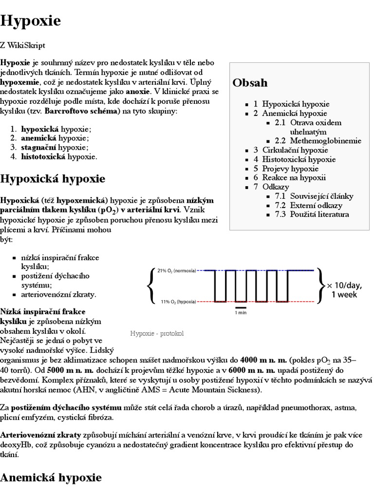 Hypoxie | PDF