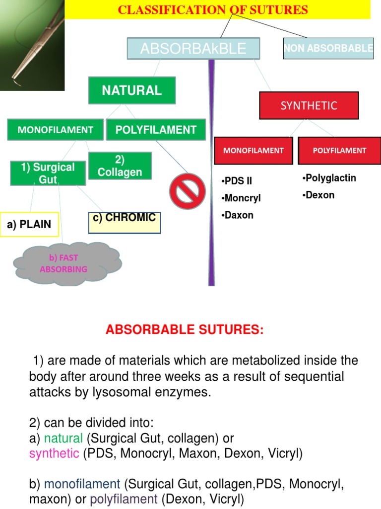 Sutures | Download Free PDF | Surgical Suture | Collagen