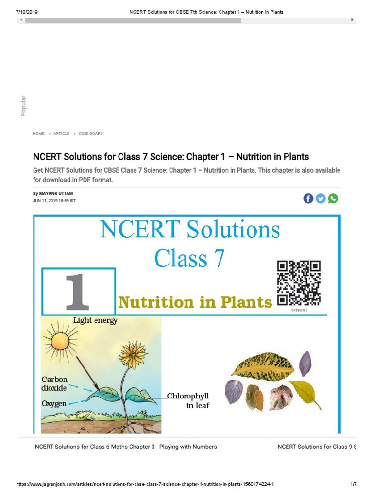 NCERT Class 7 Science: Nutrition in Plants | PDF | Photosynthesis | Leaf