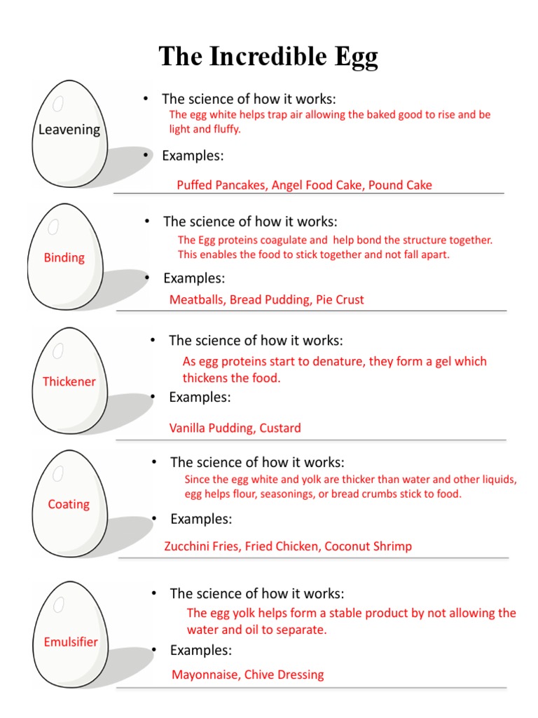 The Incredible Egg Worksheet KEY | PDF | Egg White | Egg As Food