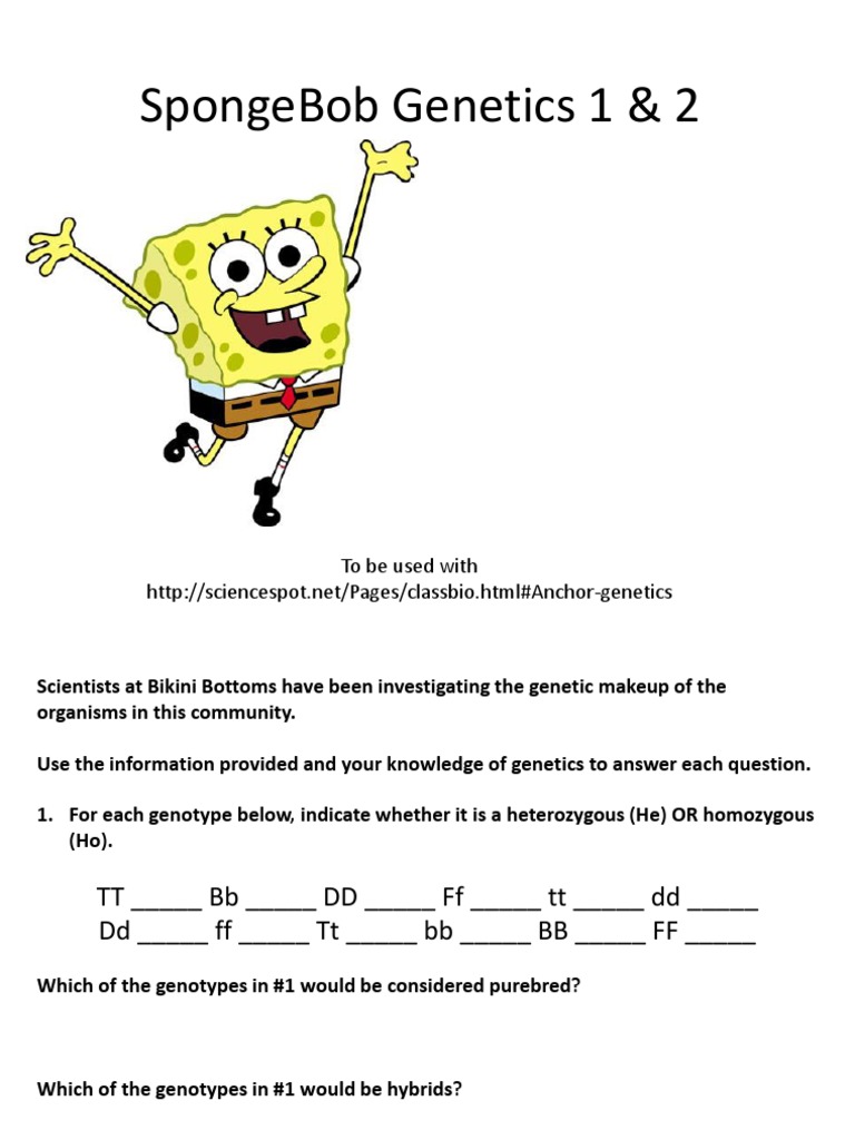 Spongebob Genetics 1 & 2: To Be Used With | PDF | Dominance (Genetics ...