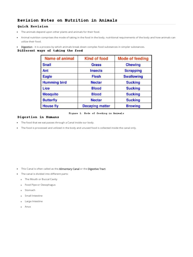 Class 7-Science-Nutrition in Animals-Additional Notes | PDF | Small ...